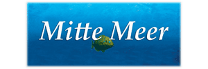 Mitte Meer Gutscheine | 5 € Gutschein + 40% Sale